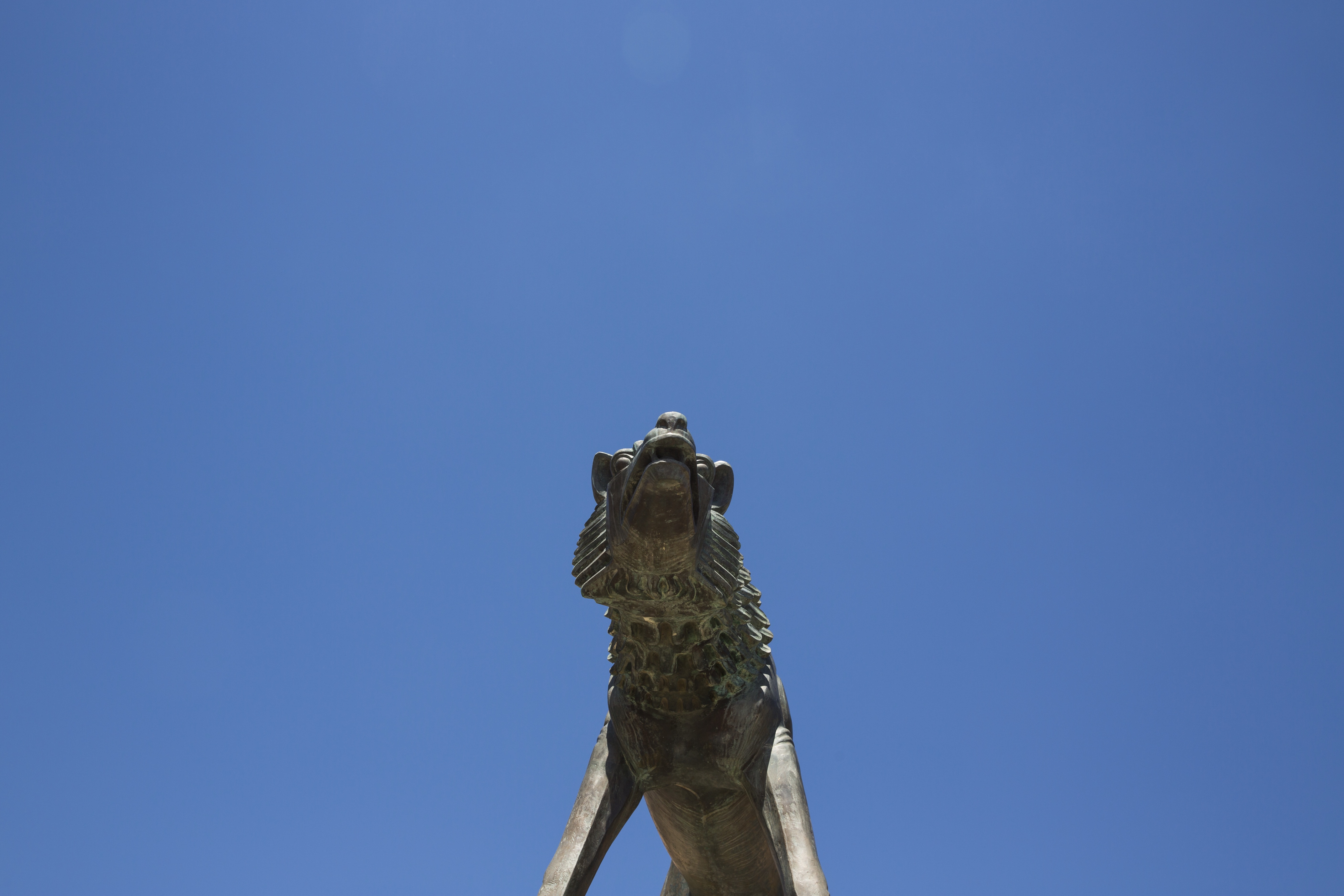 UNM Campus Histories // campus-history